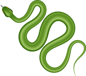 Coiled Snake Vector Images (over 1,200)