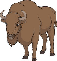 Cartoon happy bison Royalty Free Vector Image - VectorStock