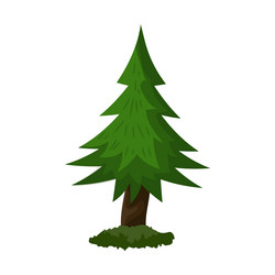 Spruce Tree Cartoon Vector Images (over 9,300)