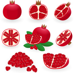Pomegranate Vector Images (over 20,000)