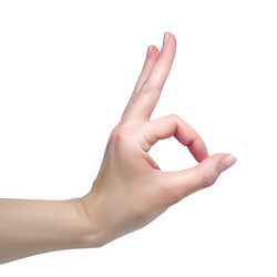 Hand showing okay Royalty Free Vector Image - VectorStock