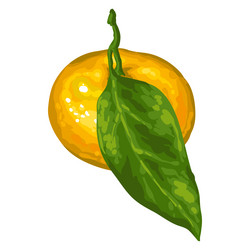 Peel mandarin orange glyph icon Royalty Free Vector Image