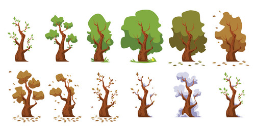 Orange Tree Life Cycle Vector Images Over 200