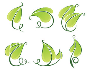 Decorative Leaves Vector Images (over 270,000)