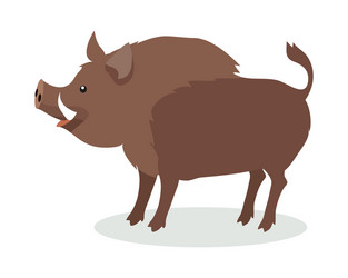 Small brown boar stands on a white background Vector Image