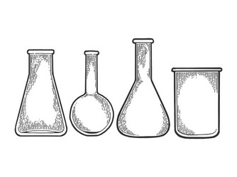 Erlenmeyer flask - laboratory equipment and tools Vector Image