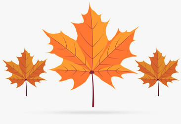 Realistic autumn leaf fall orange wood foliage Vector Image