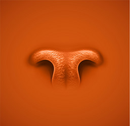 Animals Nose Vector Images (over 26,000)
