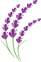Lavender sign label Royalty Free Vector Image - VectorStock