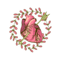 Abstract human heart sketch Royalty Free Vector Image