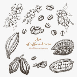 Hand drawn sketch cocoa chocolate product set Vector Image