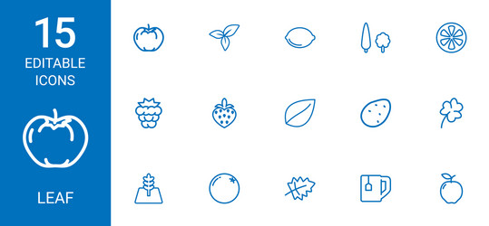 Sweet Potato Tree Vector Images (79)