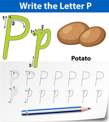 P Potato Vector Images (23)