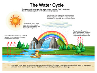 Water cycle diagram for science education Vector Image