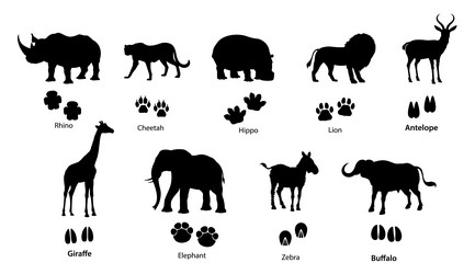 Giraffe Footprints Vector Images (over 240)