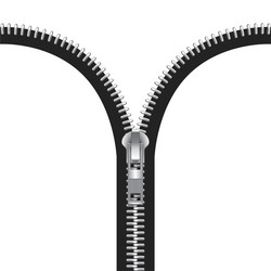 Isolated Zipper Detail Royalty Free Vector Image