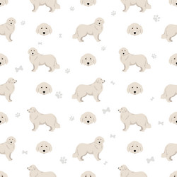 Great Pyrenees Vector Images (46)
