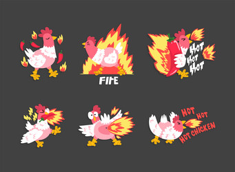 Hot spicy chicken with fire as grill and roast Vector Image