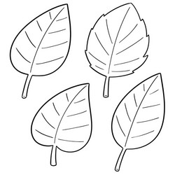 Set leaves Royalty Free Vector Image - VectorStock