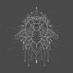Bee Sacred Geometry Vector Images (98)