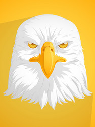 Bald eagle head cartoon Royalty Free Vector Image