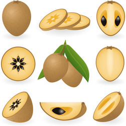Green pear cartoon set cross section cut Vector Image