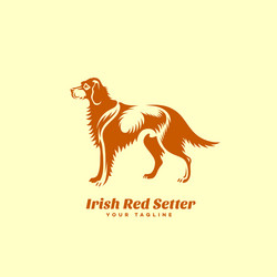 Irish setter dog Royalty Free Vector Image - VectorStock