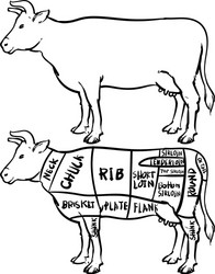 Meat diagram cow engraving Royalty Free Vector Image