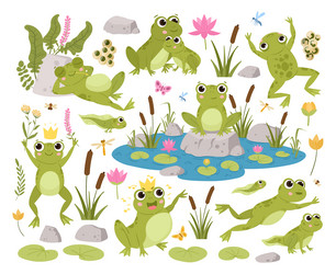 Cartoon frog life cycle eggs tadpole froglet Vector Image