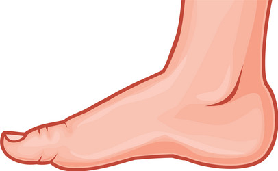 Human foot cartoon isolated Royalty Free Vector Image