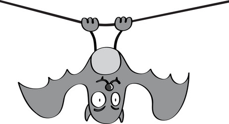 Hanging Bat Vector Images (over 2,400)