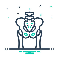 Hip Royalty Free Vector Image - VectorStock