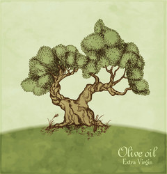 Olive Tree Vector Images (over 180,000)