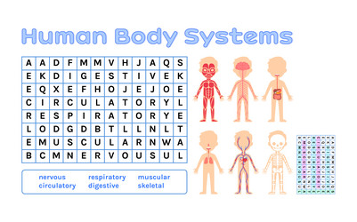Crossword puzzle my body parts for children Vector Image
