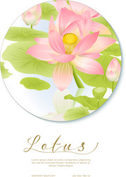 Pink lotus template for wedding invitation Vector Image