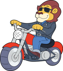 Lion riding motorbike at high speed Royalty Free Vector