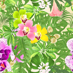 Seamless texture tropical flowers orchid Vector Image