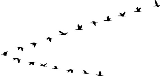 Bird V Formation Vector Images (23)