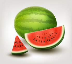 Watermelon Vector Images (over 70,000)