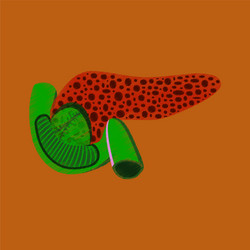 Human organ icon in flat style duodenum Royalty Free Vector