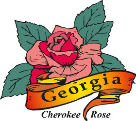 Georgia State Flower Tattoo