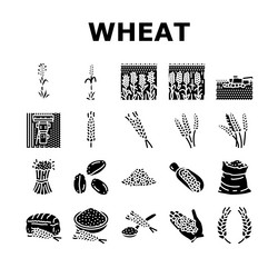 Wheat grain bread harvest icons set Royalty Free Vector