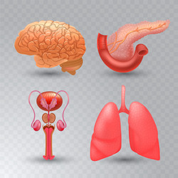 Internal Vector Images (over 410,000)