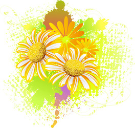 Yellow daisy flower border Royalty Free Vector Image