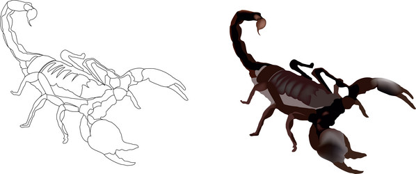 Scorpion Vector Images (over 6,700)