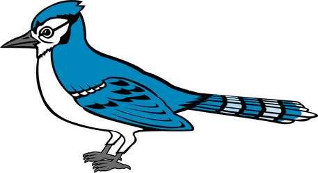 Blue jay basketball sports logo mascot Royalty Free Vector