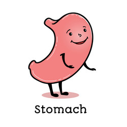 Cartoon stomach healthy human body organ character