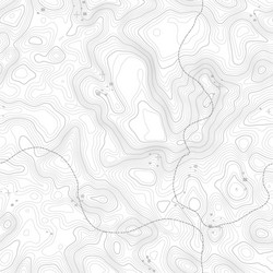 Topographic map patterns topography line Vector Image