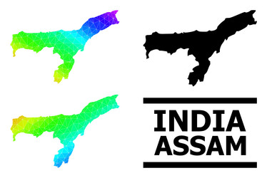 Simple geometric mosaic map of assam state Vector Image