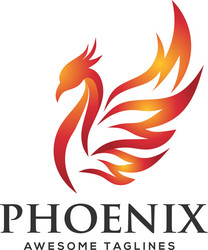Phoenix logo design inspiration Royalty Free Vector Image